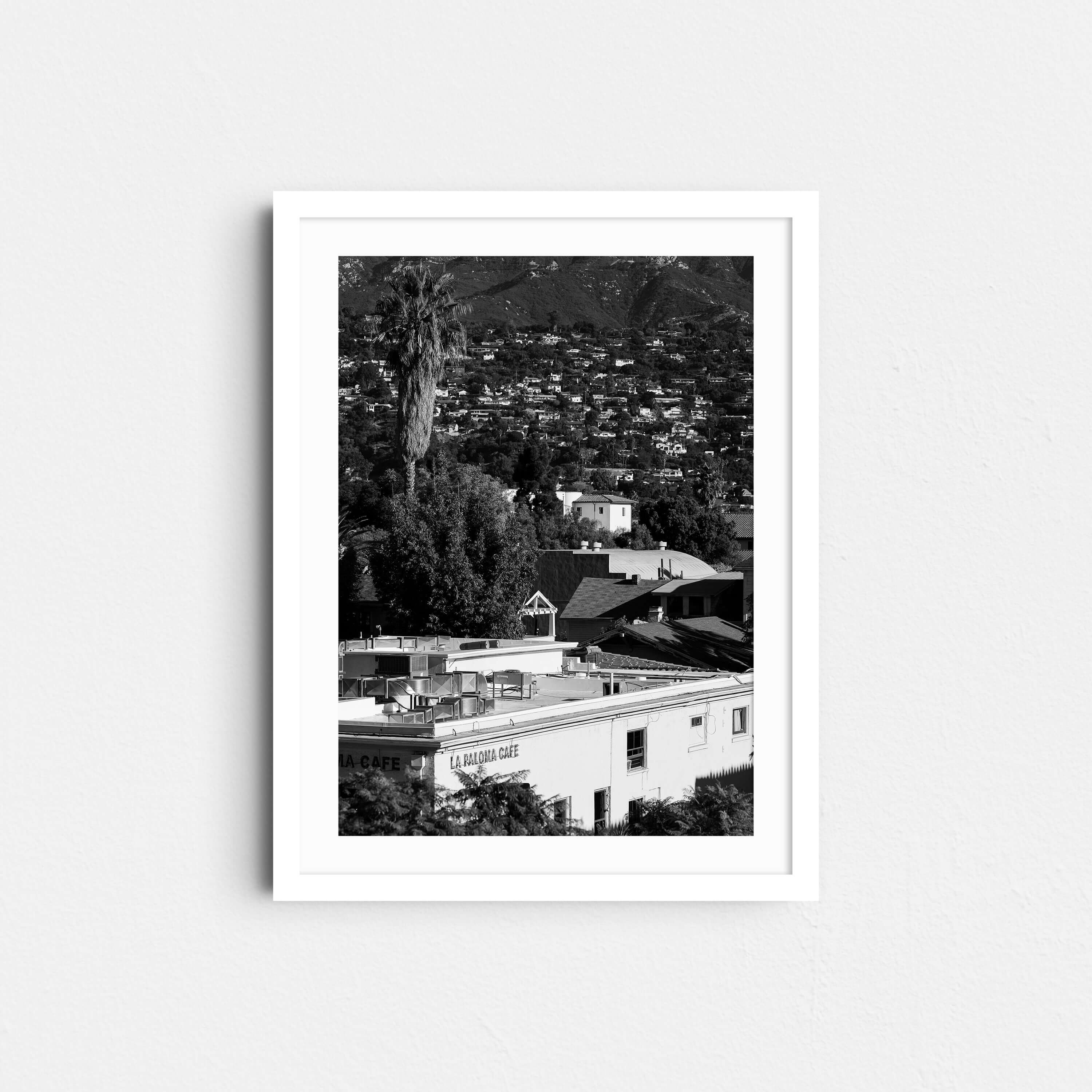 Paloma Fine Art Print | California Coastal